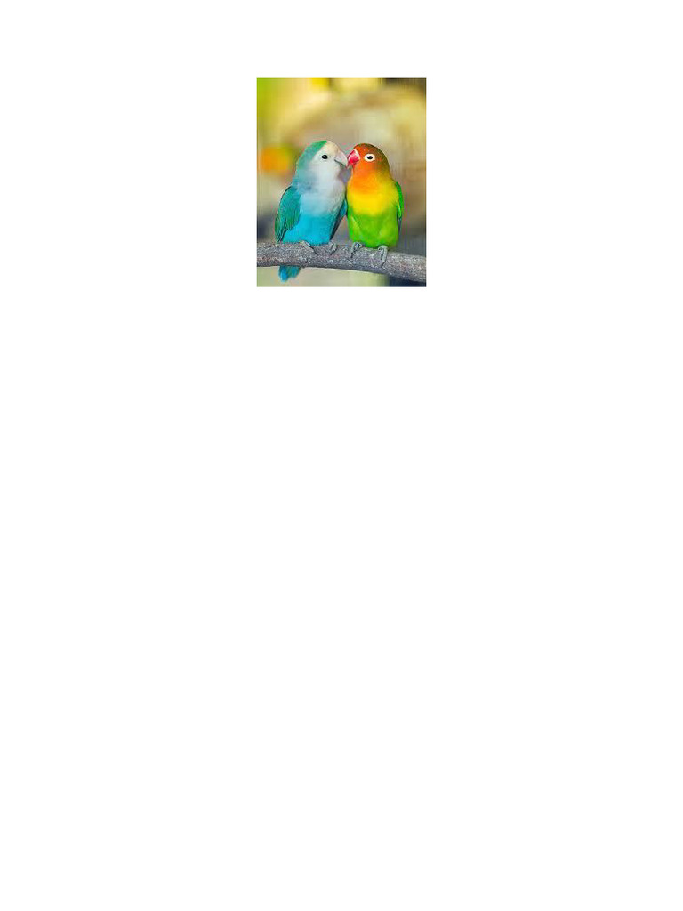 BURUNG | PDF