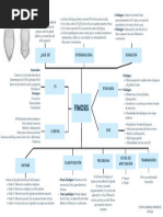Grados de Fimosis | PDF | Circuncisión | Medicina