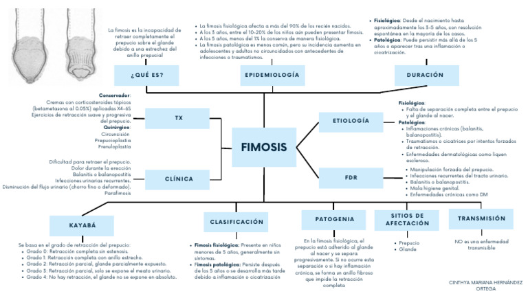 Fimosis | PDF | Medicina | Circuncisión