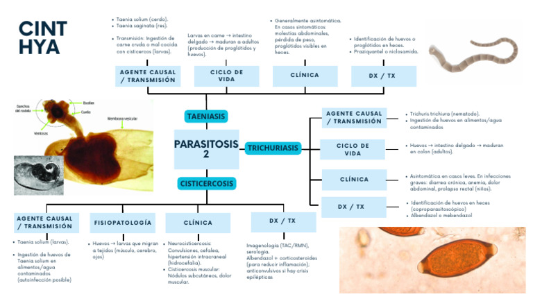 Parasitosis 2 (Pediatrica) | PDF | Medicina CLINICA | Ciencias de la Salud