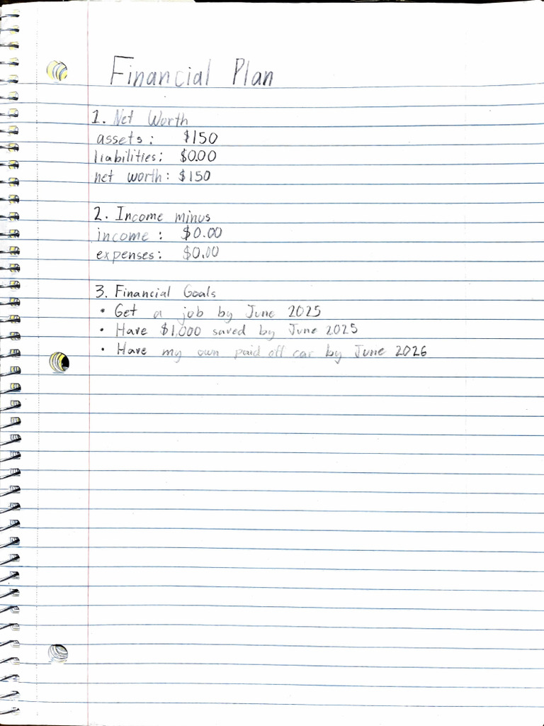 Financial Plan | PDF