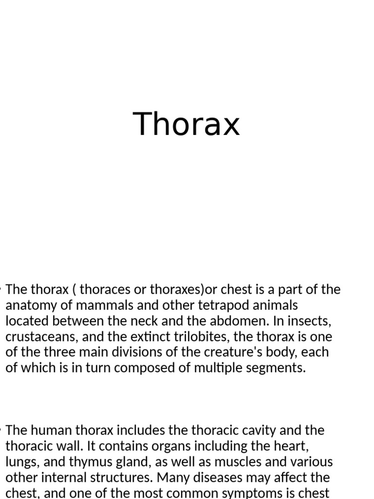 Thorax | PDF