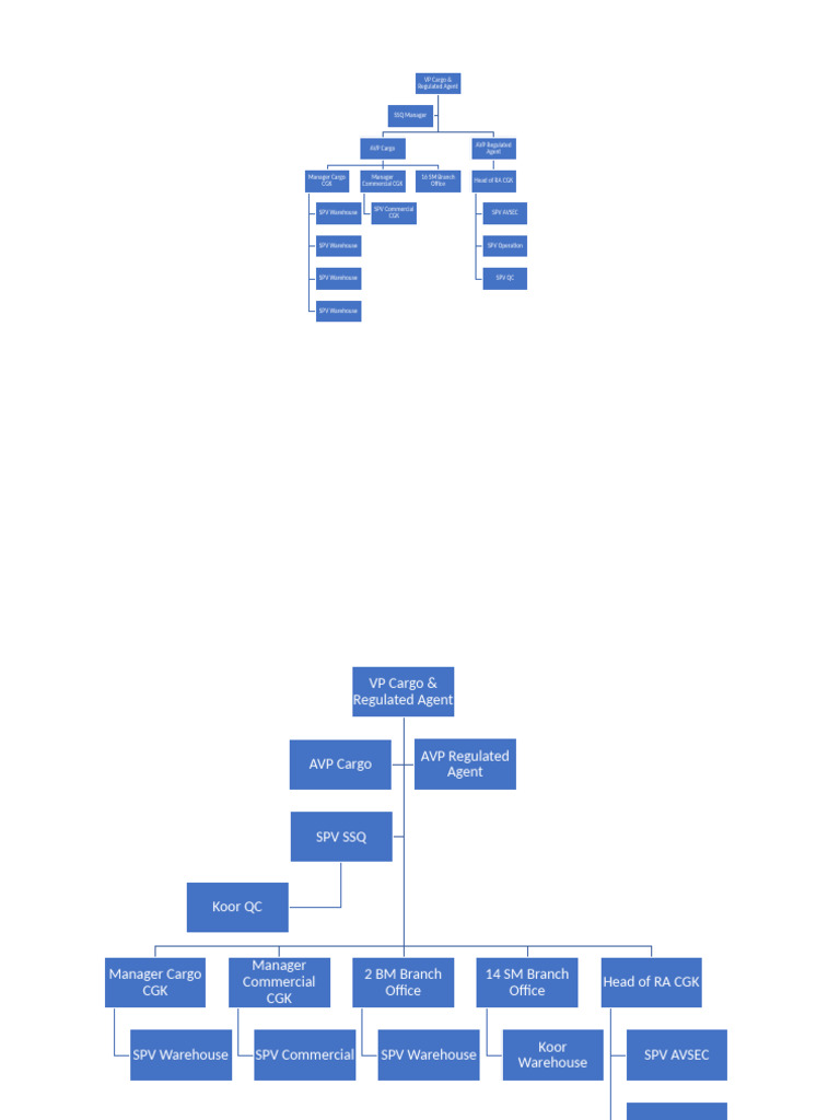 VP Cargo & Regulated Agent | PDF