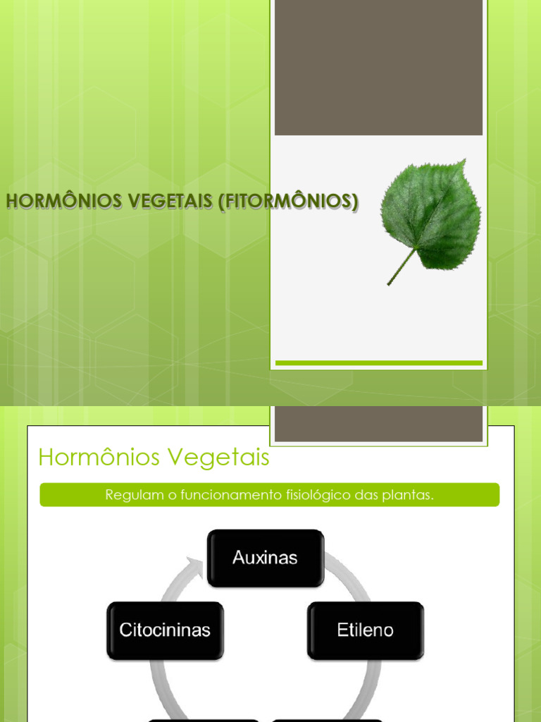 2EM-_Morfofisiologia_Vegetal_-_Fitormônios[1] | PDF | Auxinas ...