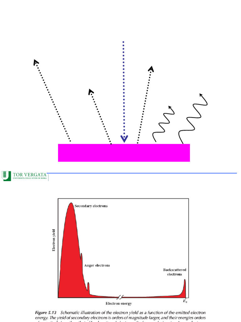 Lecture 3 - SEM - Second Part | PDF | Scanning Electron Microscope ...