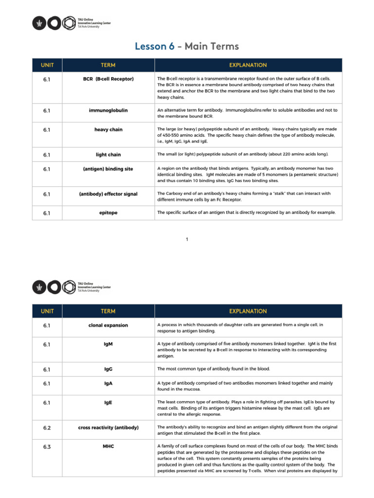 Lesson 6 Main Terms 26.11.17 | PDF