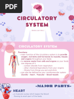 The 3 Types of Circulation | PDF