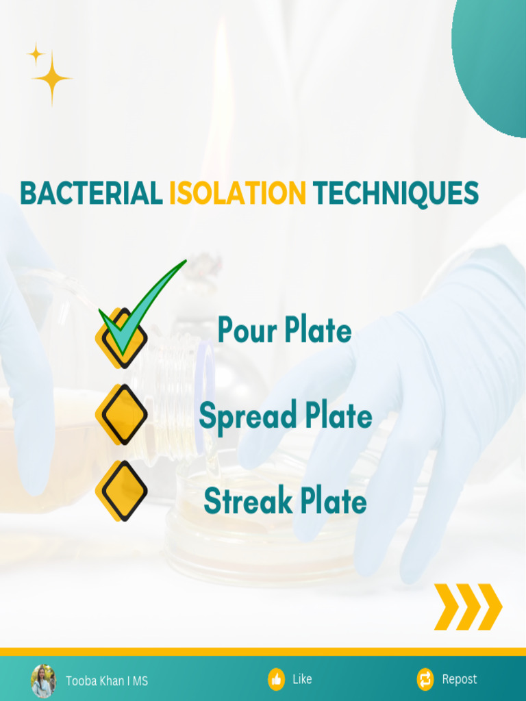 Microbial Isolation Techniques 1731641012 | PDF | Colony Forming Unit ...