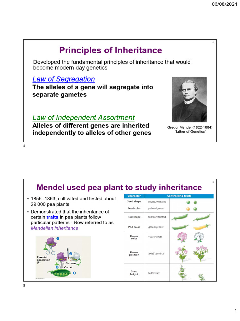 BIO212 - Lec02 - Principles of Inheritance-2024 | PDF | Meiosis ...
