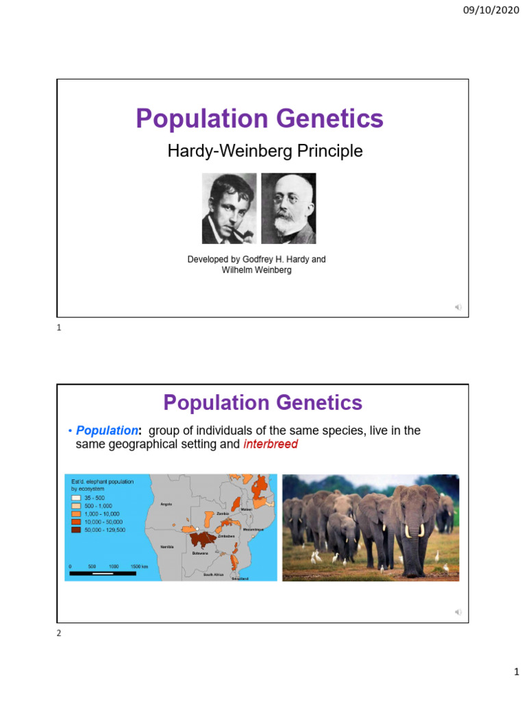 BIO212 - Lec11 - Population Genetics I - Hardy-Weinberg Principle | PDF ...