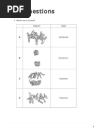 Video Recap of Codon Chart Video Companion by Amoeba Sisters | PDF ...