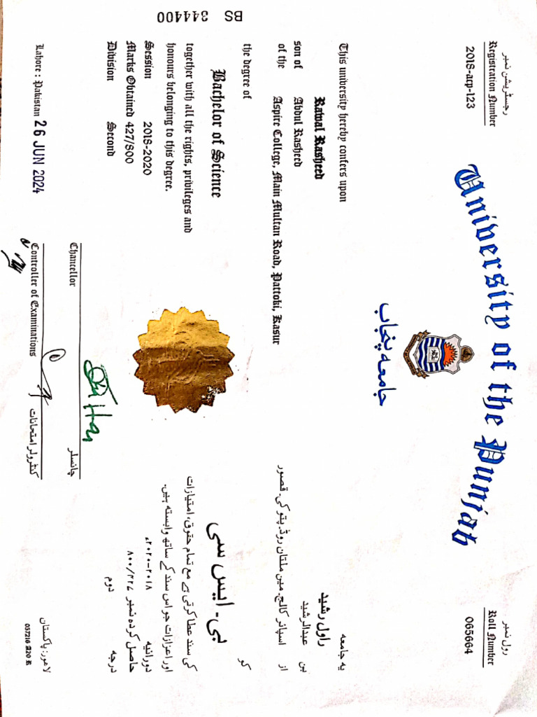 BSC Degree and Mark Sheet | PDF