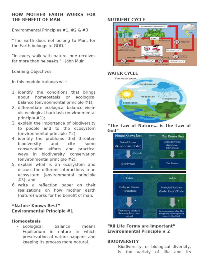 Environmental Principles (NSTP-CWTS) | PDF | Biodiversity | Municipal ...
