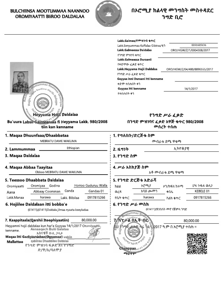 Mebratu | PDF