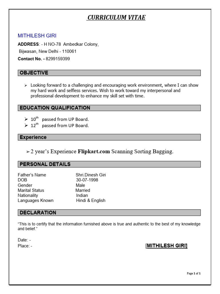 Mithilesh Giri Resume | PDF