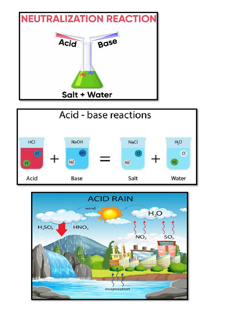 Reactions of Acids With Bases and Metals - Prente | PDF