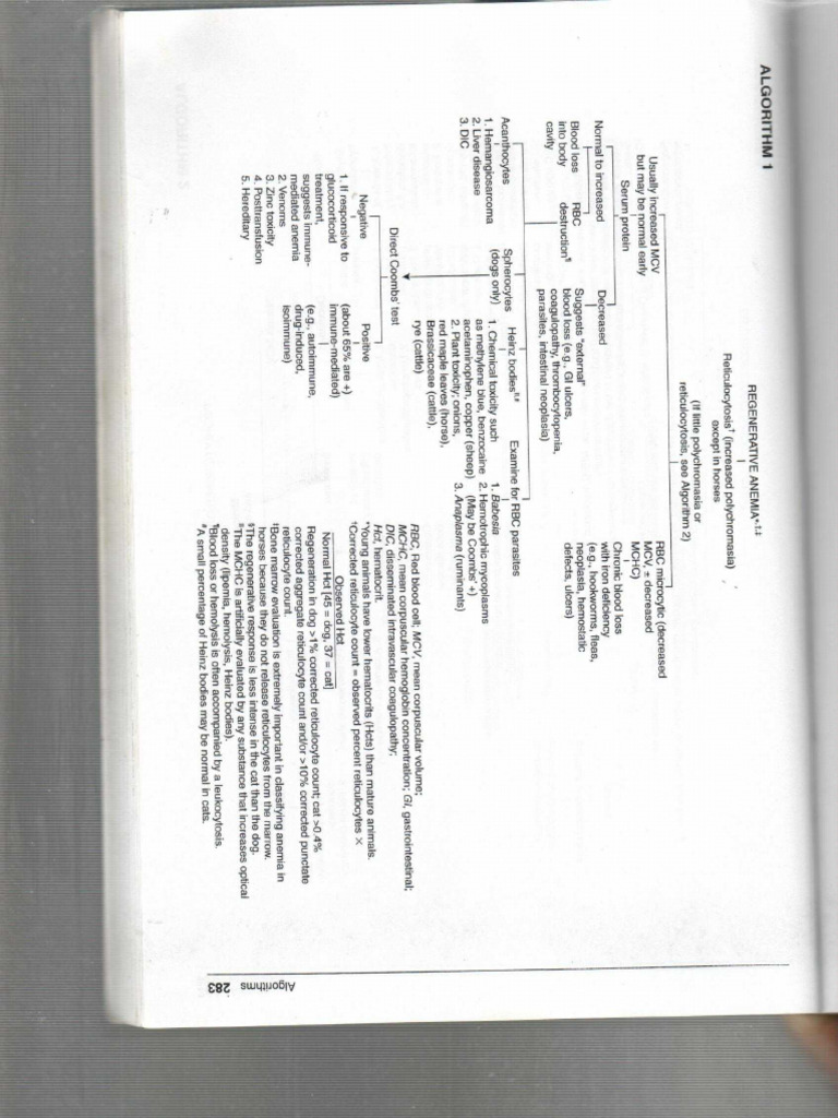 Algoritm Eritrocite | PDF