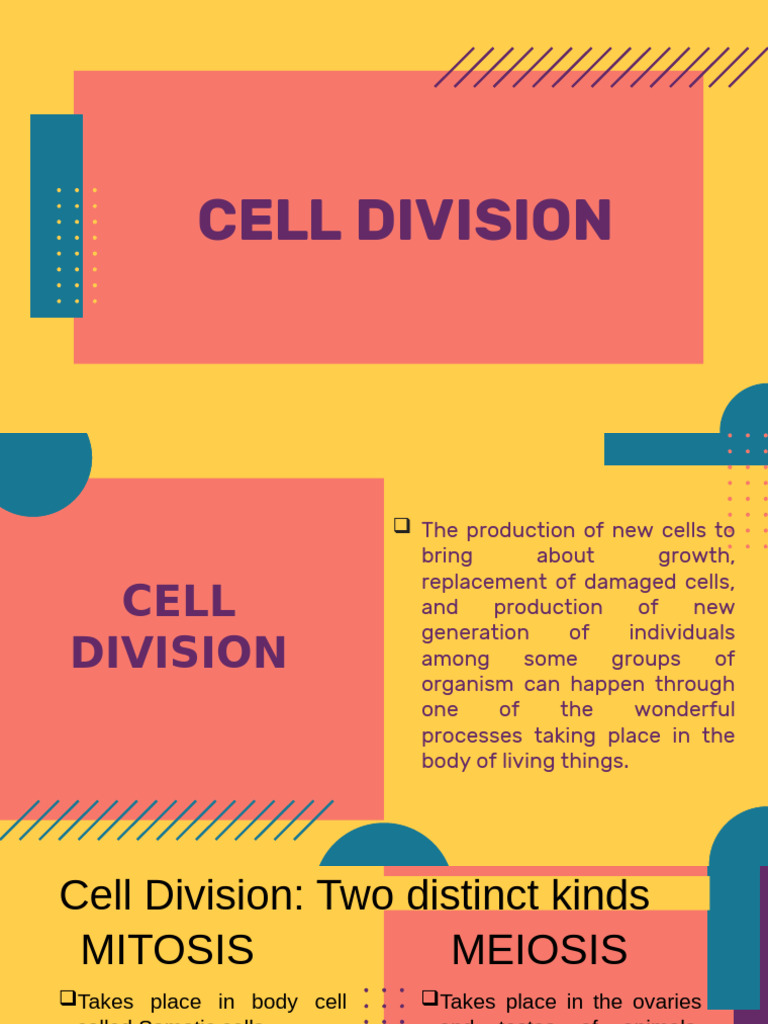 Cell Divison Biotech | PDF | Mitosis | Biology