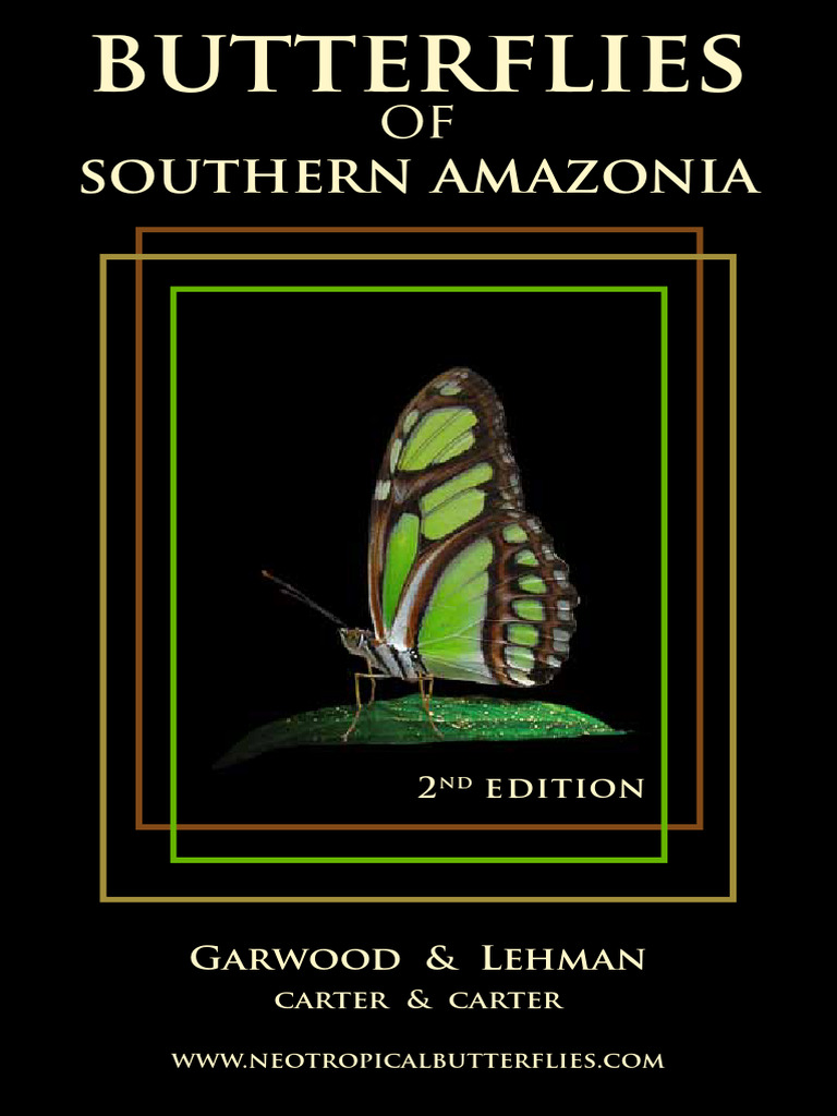 Butteflies of Southern Amazonia | PDF | Butterfly | Lepidoptera