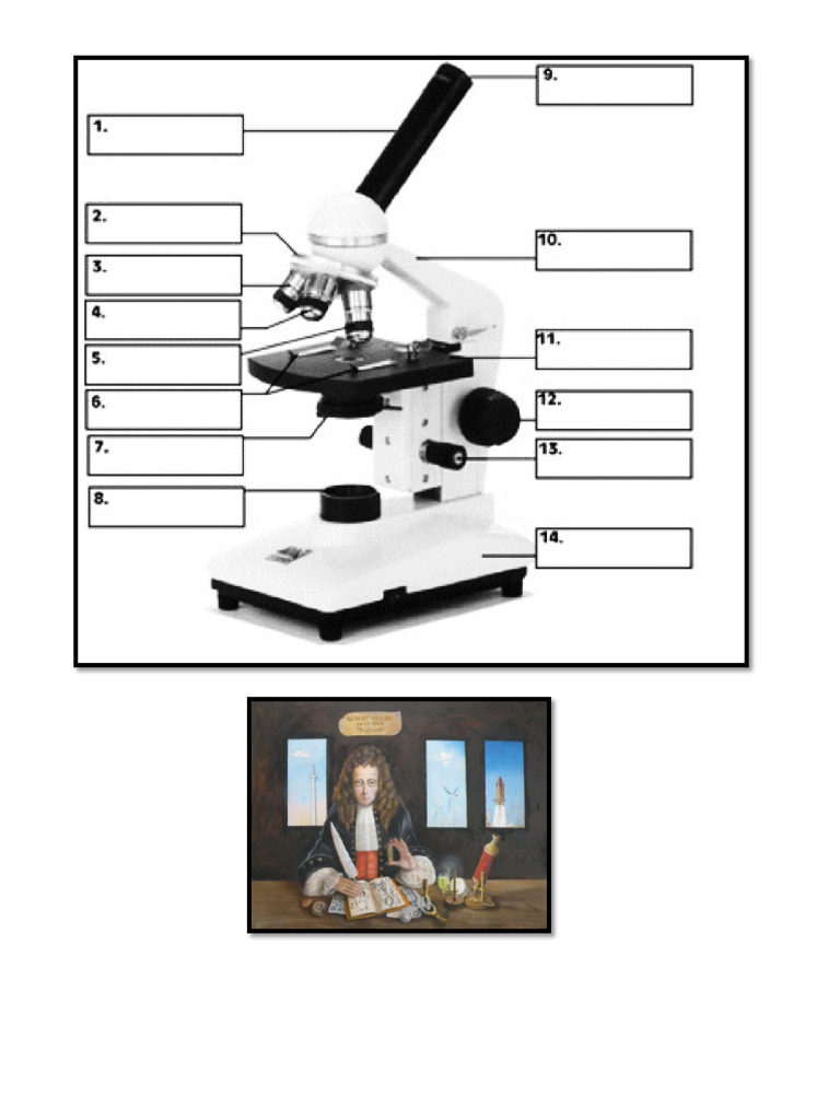 Pound Light Microscope - Prente | PDF