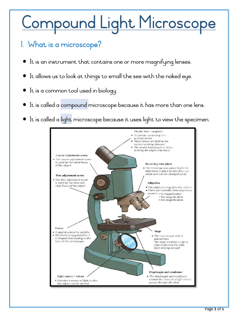 Intro to Compound Microscopes | PDF