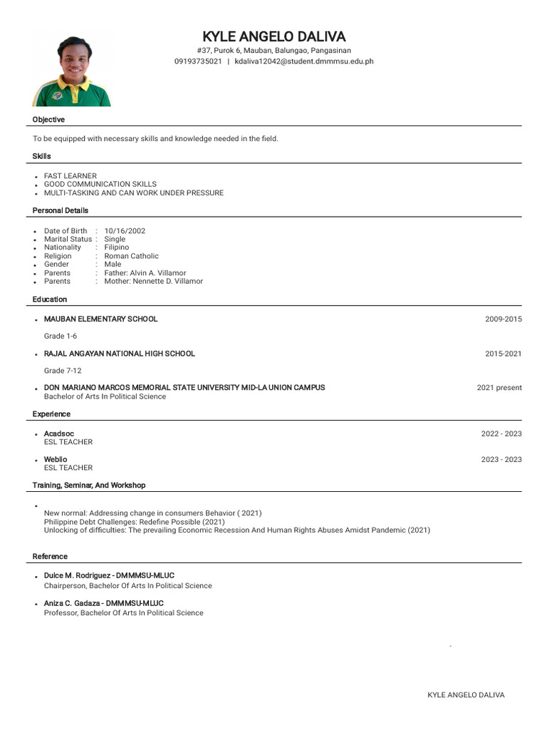 Kyle Angelo Daliva: Resume Overview | PDF