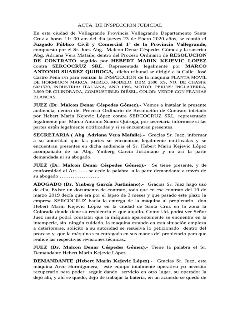 Acta de Inspeccion Judicial (Hebert Marin Kejevic) | PDF