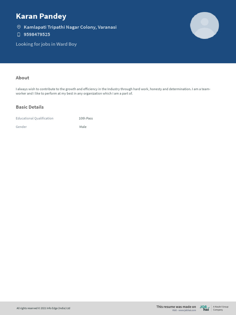 Karan Pandey CV | PDF