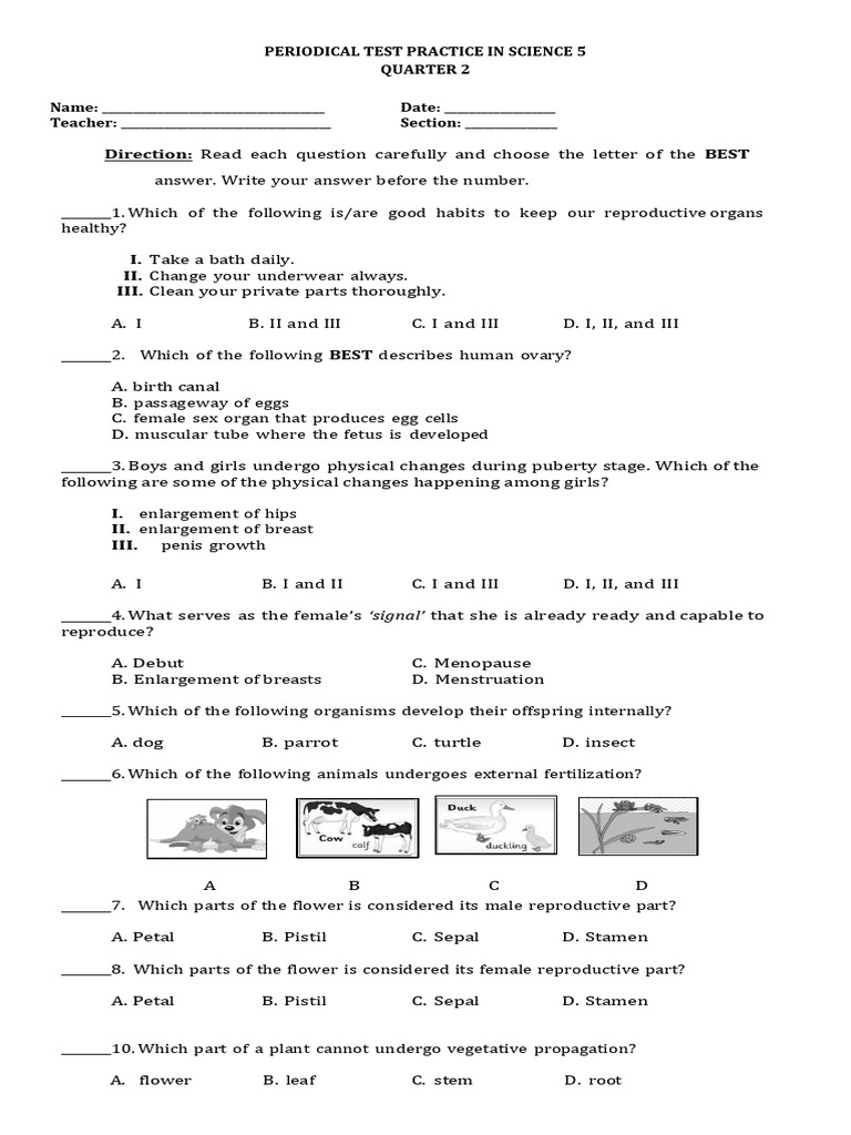 Science 5 Periodical Test Practice | PDF | Flowers | Reproductive System