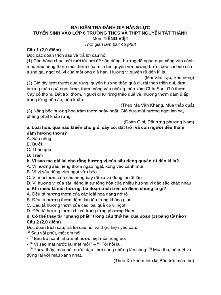 đề khảo sát lớp 6 THCS Nguyễn Tất Thành | PDF