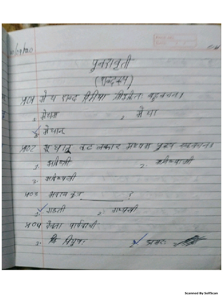 Sanskrit Work | PDF