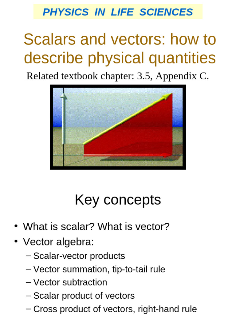 02 A Scalars and Vectors | PDF | Euclidean Vector | Vector Space
