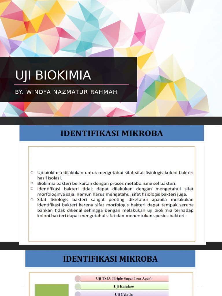 PLM Media Biokimia | PDF