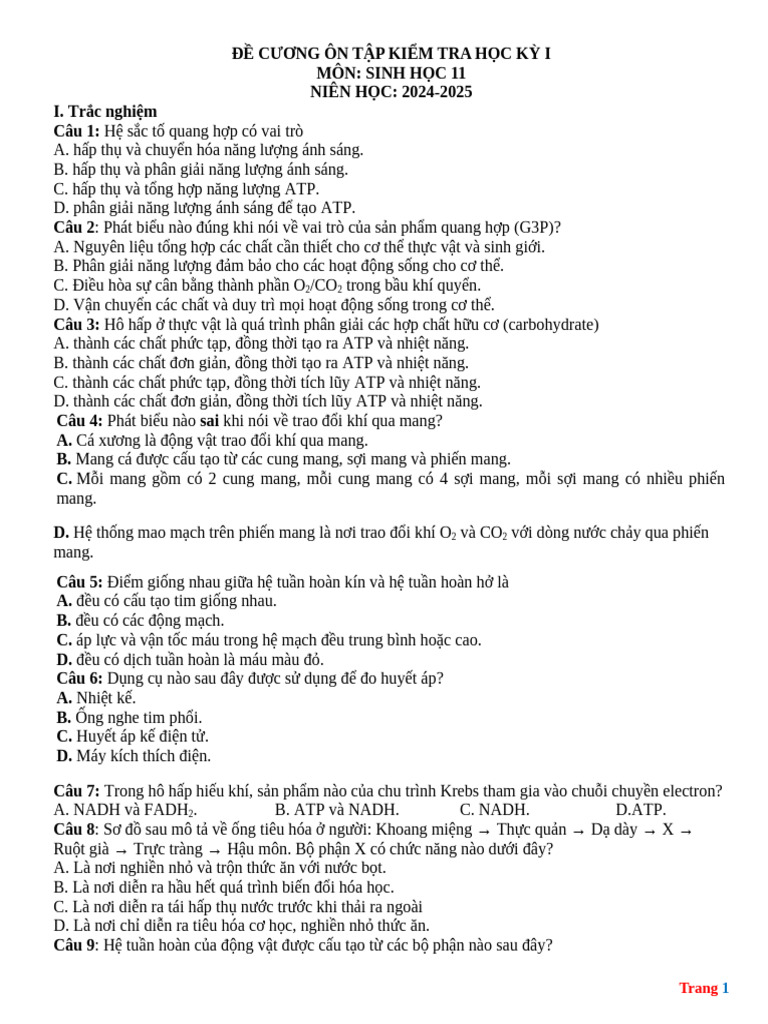 Đề Cương Ck1 Sinh 11 | PDF