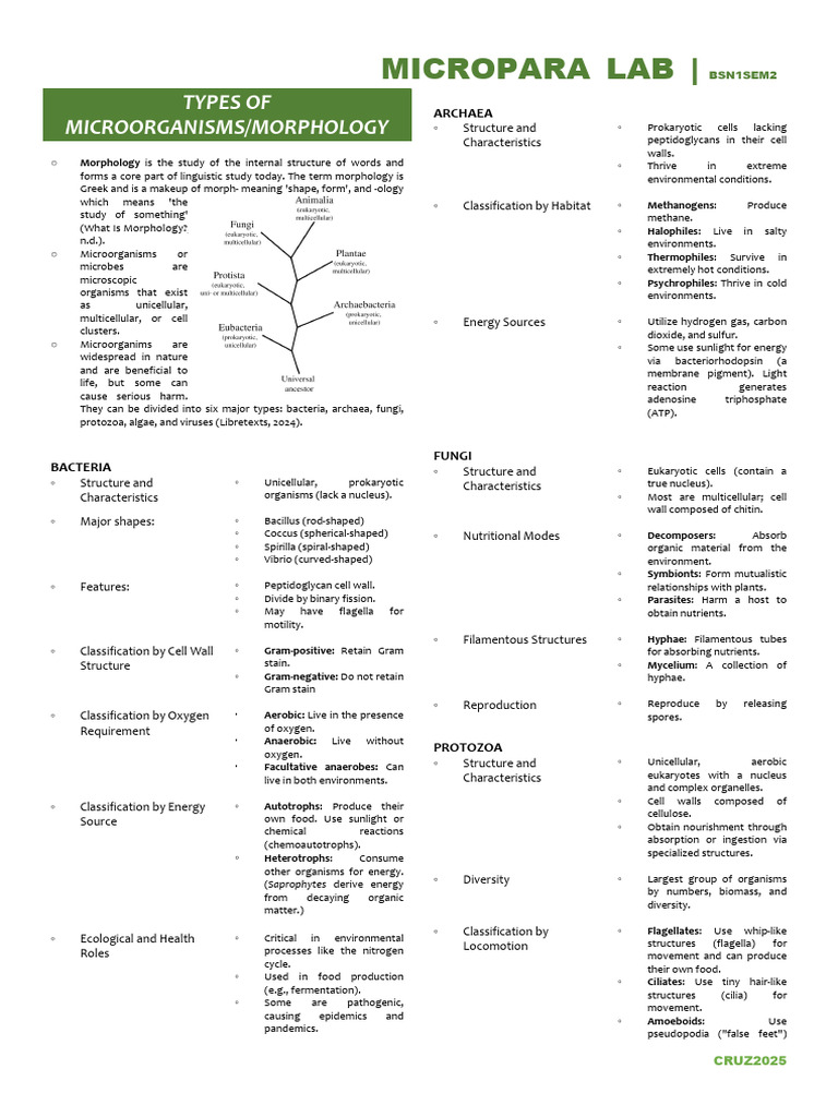MICROPARA LAB - TYPES OF MICROORGANISMS (MORPHOLOGY) | PDF | Microorganism | Cell (Biology)