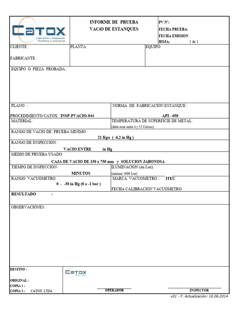 Formato Informe P VACIO | PDF