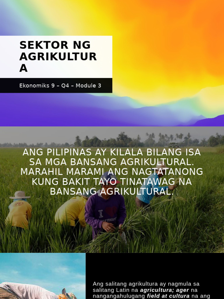 Module 3 - Sektor NG Agrikultura | PDF