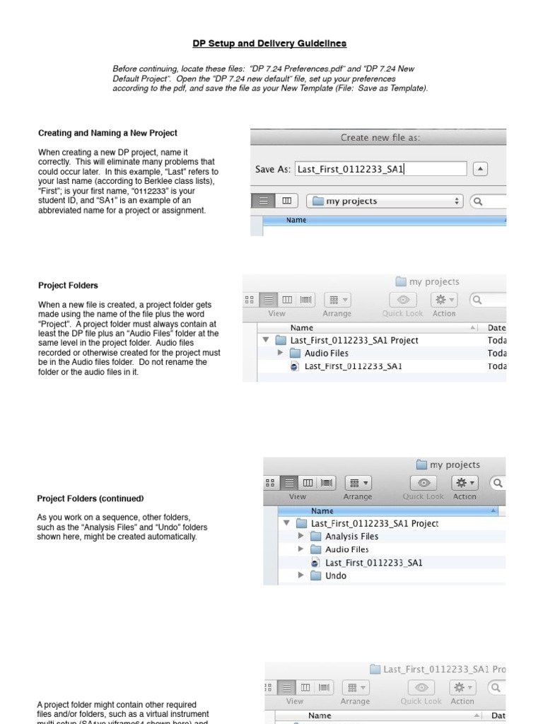 DP Setup and Delivery Guidelines-1 | PDF | Computer File | Computer Engineering