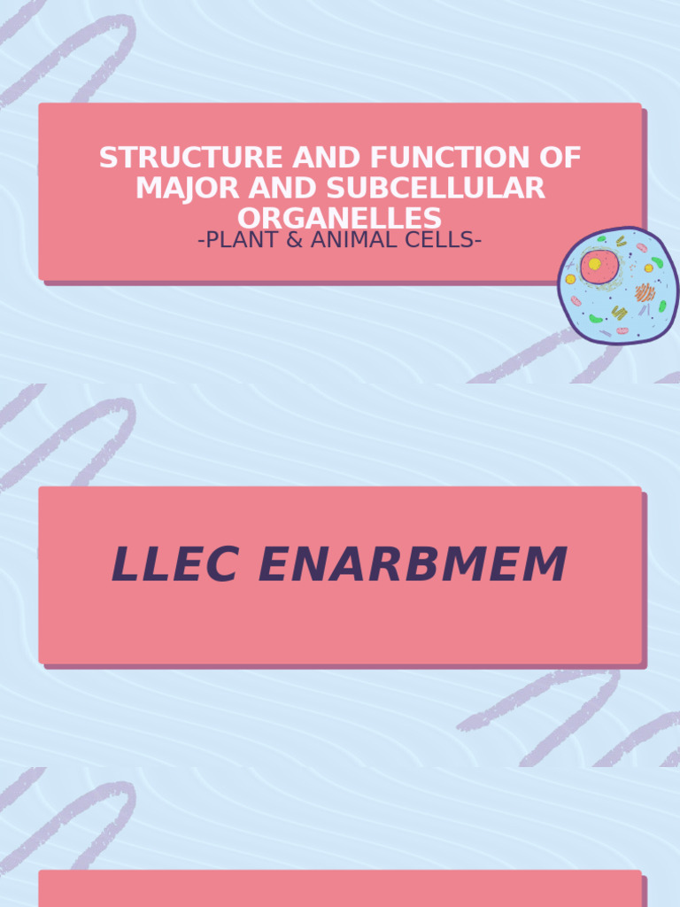 Cell Organelles & Structures Lesson Presentation in Blue and Pink Hand ...