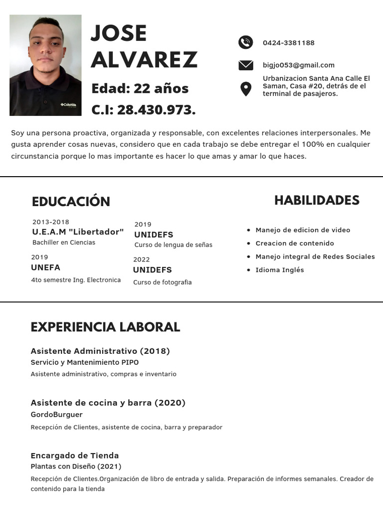 Jose Alvarez Currículum Vitae | PDF