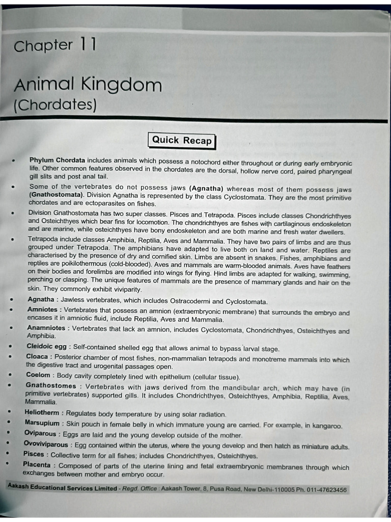 Animal Kingdom | PDF