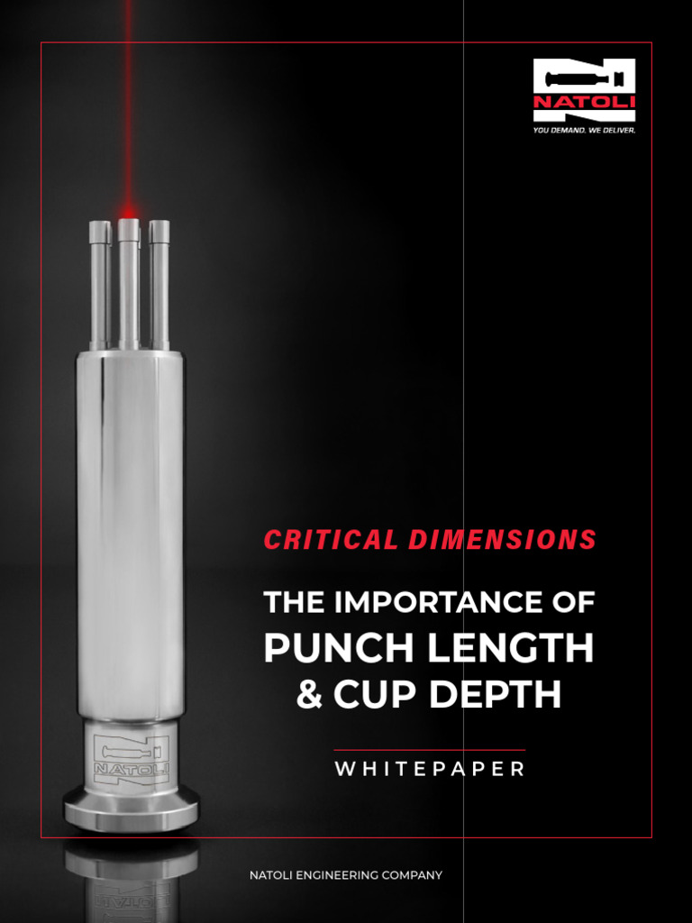Critical Punch Dimensions for Tablets | PDF | Tablet (Pharmacy) | Length