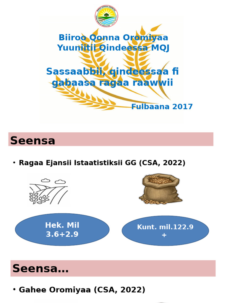 Qabiinsaa Fi Gabaasa Ragaa Guyyaa | PDF