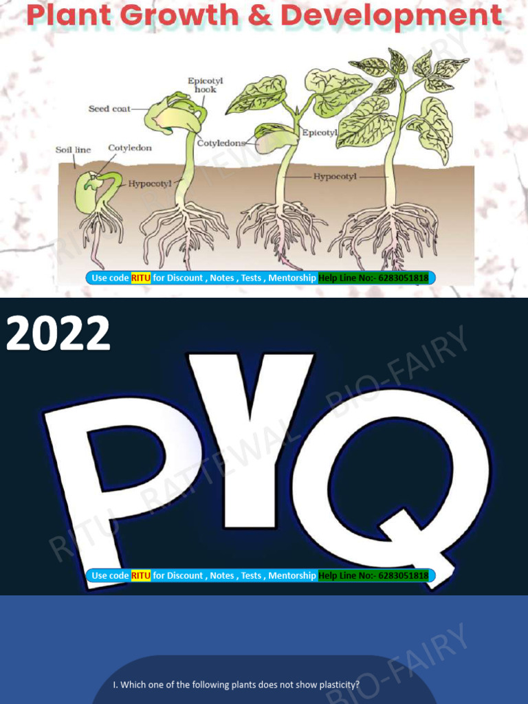 Plant Growth and Hormone Insights | PDF | Plant Hormone | Auxin