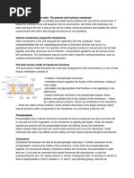 Biology Membranes A-Level OCR Notes | PDF | Cell Membrane | Biotechnology