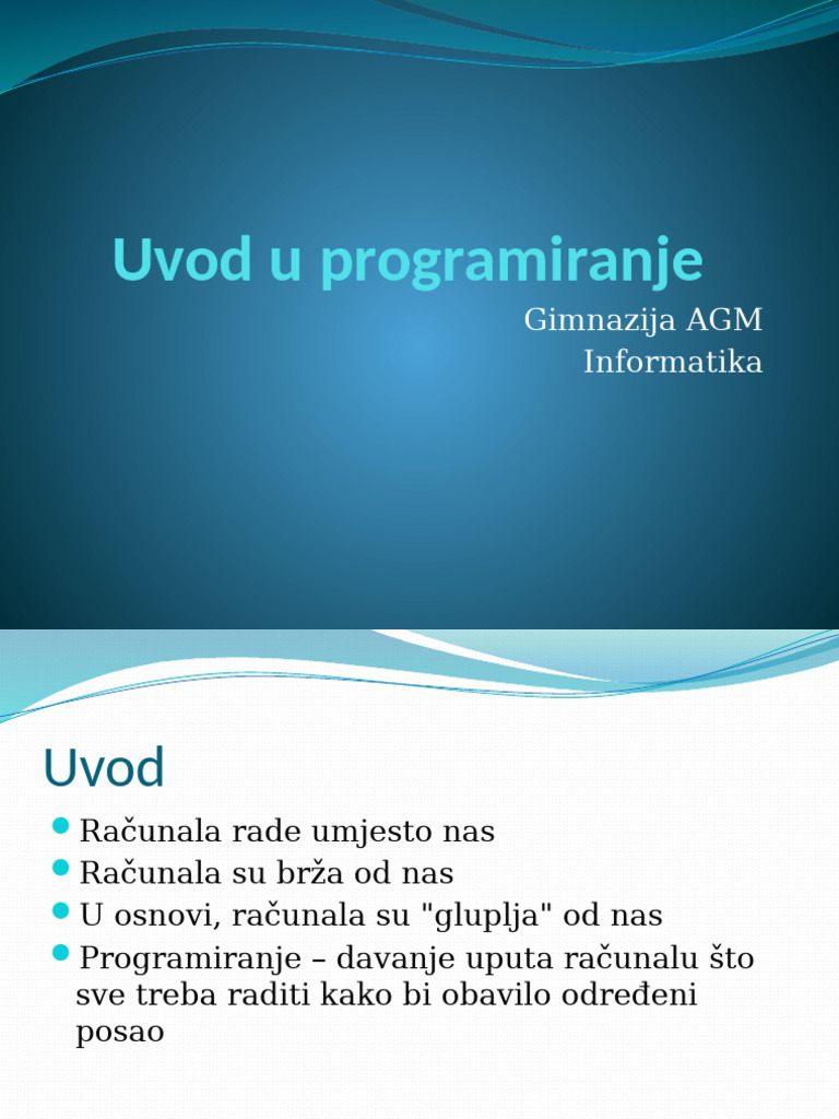 01 Program Programiranje | PDF
