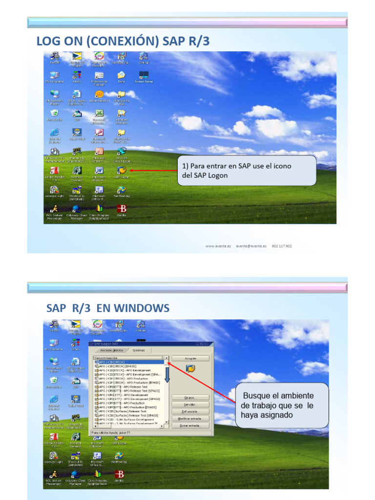 Introducción Básica Ambiente Sap | PDF | Software | Familias de ...