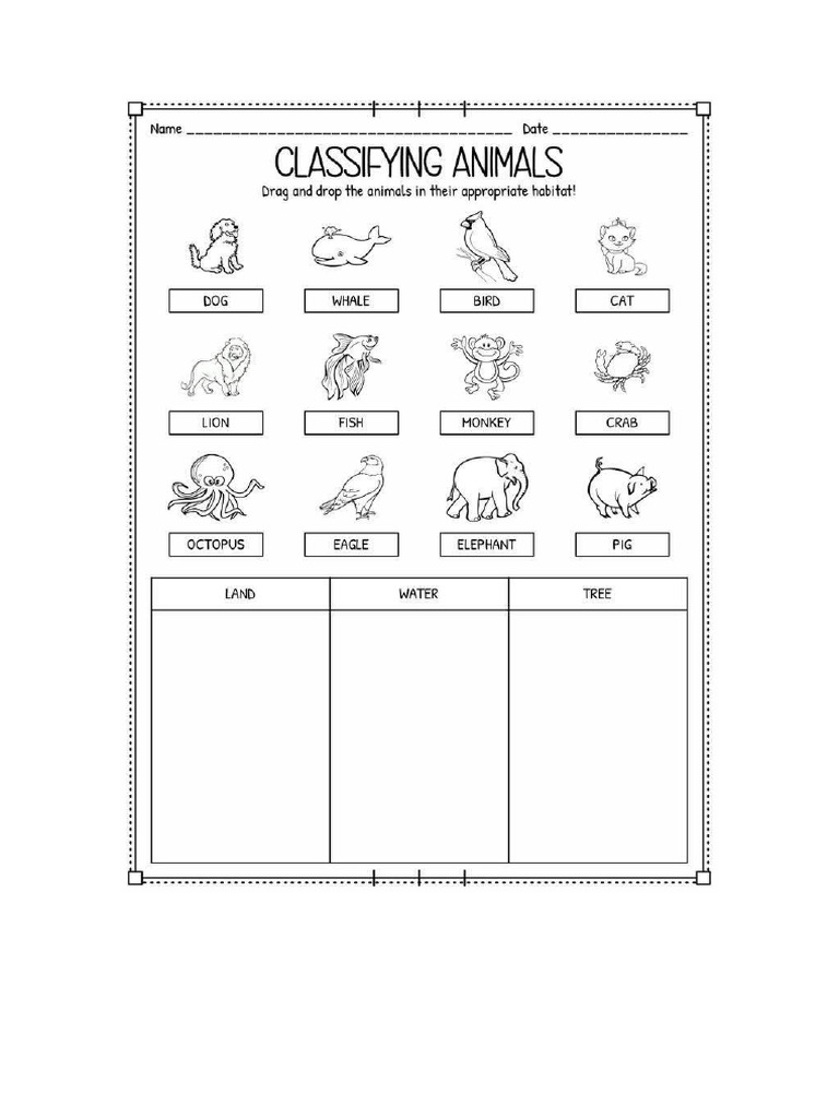 Animals 2 | PDF