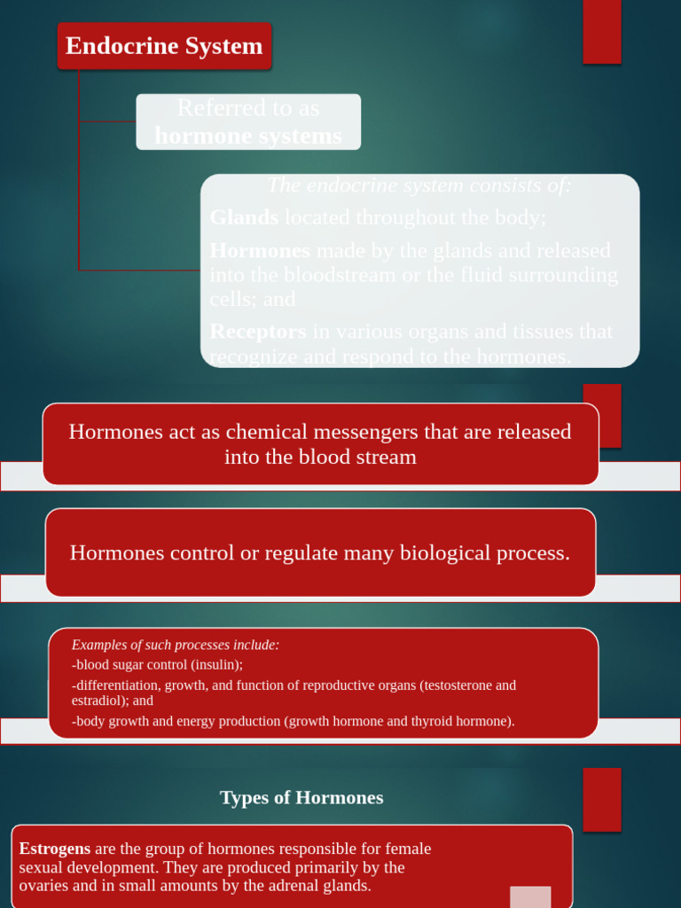MC 1 Endocrine System | PDF