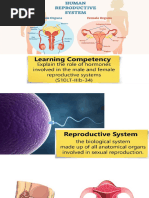 How to draw Male reproductive system - Front view | PDF